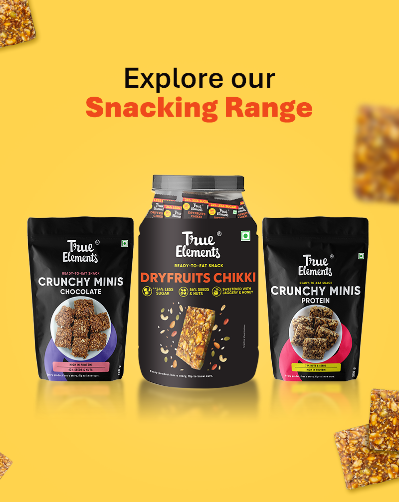 Dryfruit Chikki 20gm each - Pack of 12 – True Elements